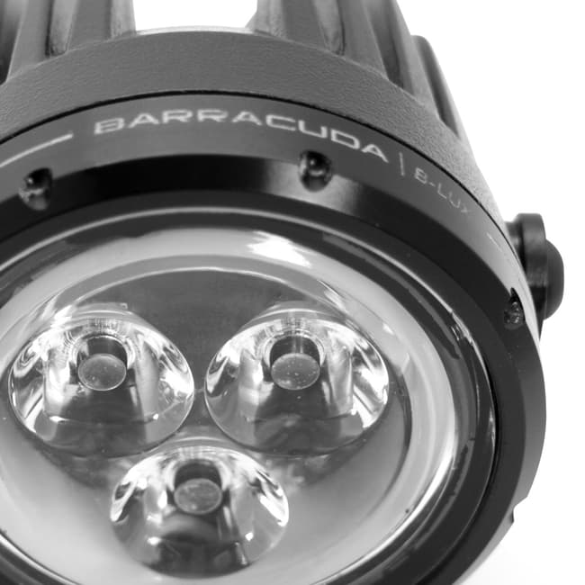 barracuda lights